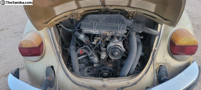 TheSamba.com :: VW Classifieds - 1974 Standard Beetle Sun Bug "SunBug"