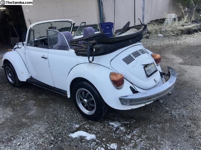 TheSamba.com :: VW Classifieds - 74 Bug conv.