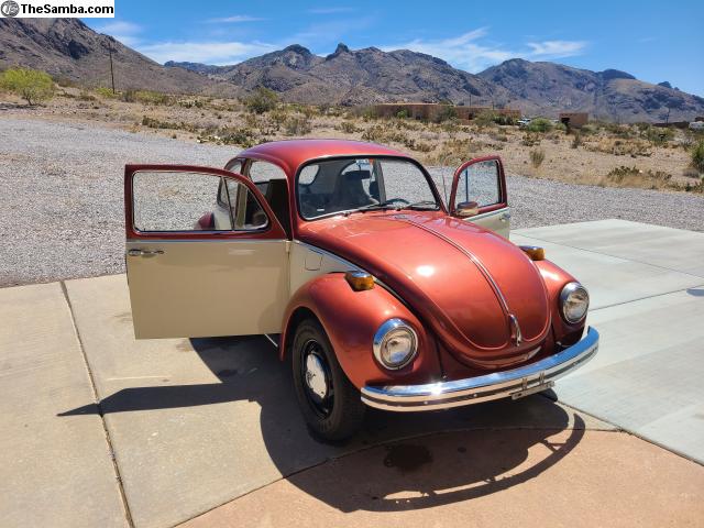 TheSamba.com :: VW Classifieds - Large Richard's 71 Beetle