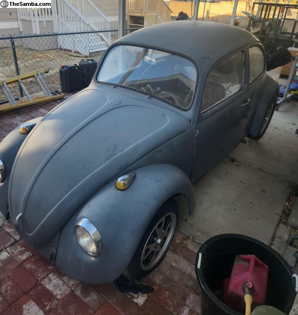 TheSamba.com :: VW Classifieds - 1967 VW bug project
