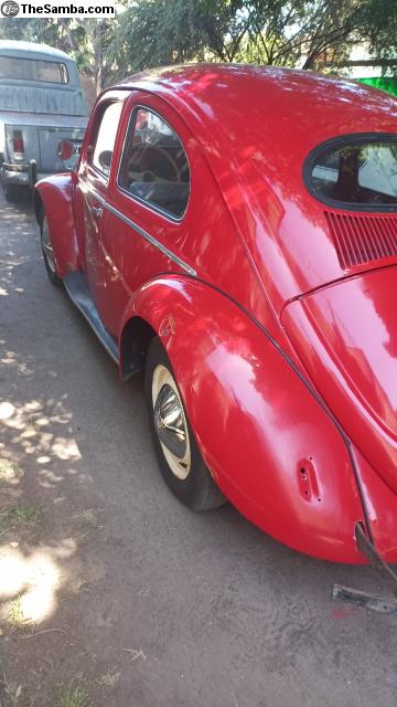 TheSamba.com :: VW Classifieds - Escarabajo split 1951