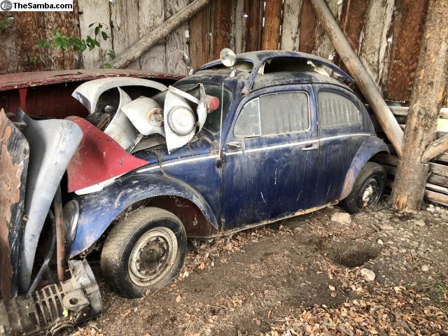 TheSamba.com :: VW Classifieds - 1961 Bug / Baja/ resto project with sunroof