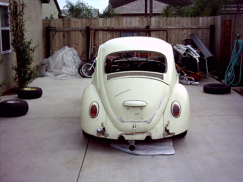 TheSamba.com :: Gallery - bug