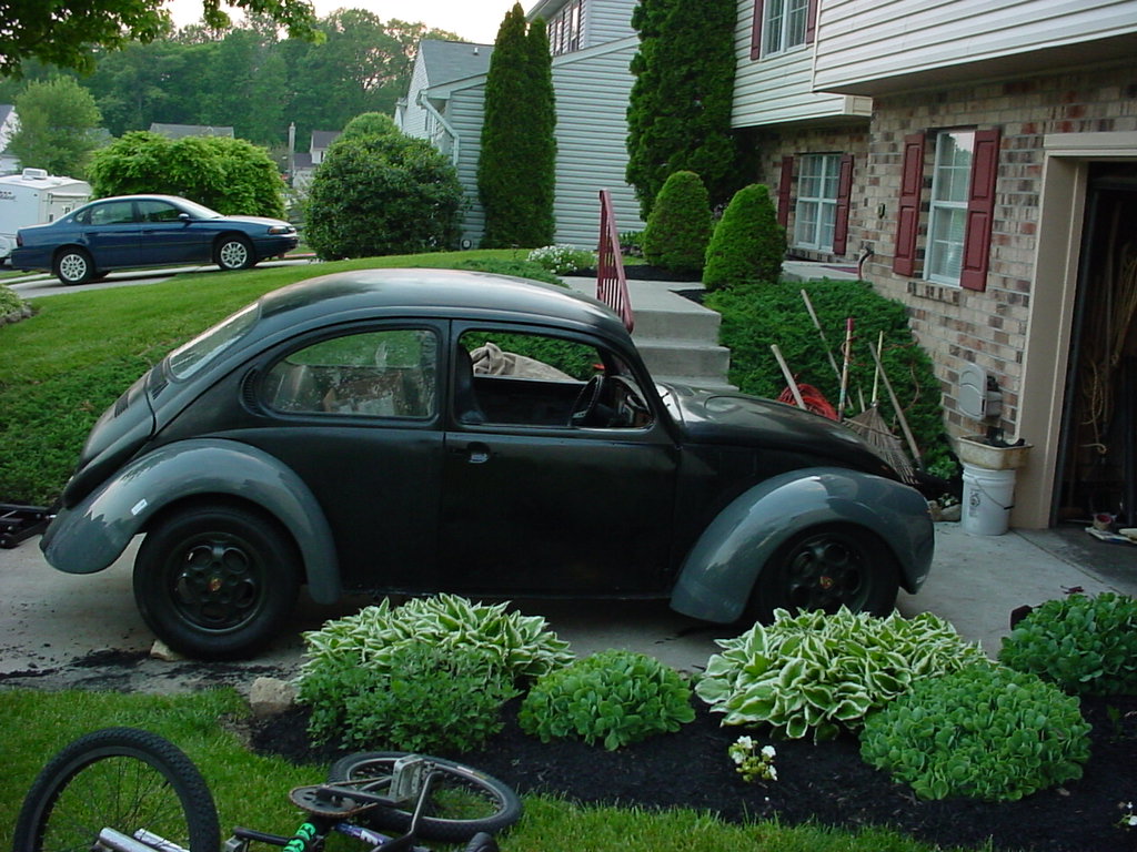 TheSamba.com :: Gallery - superbug