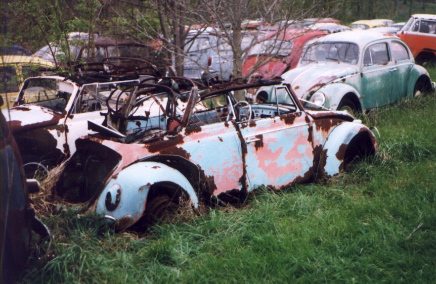 TheSamba.com :: Gallery - Rusty VW