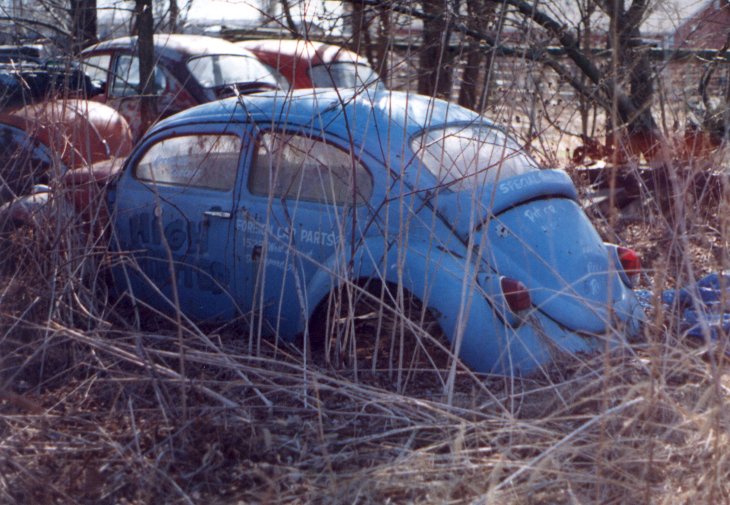 TheSamba.com :: Gallery - Rusty VW