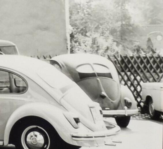 TheSamba.com :: Gallery - vintage vw split window photo