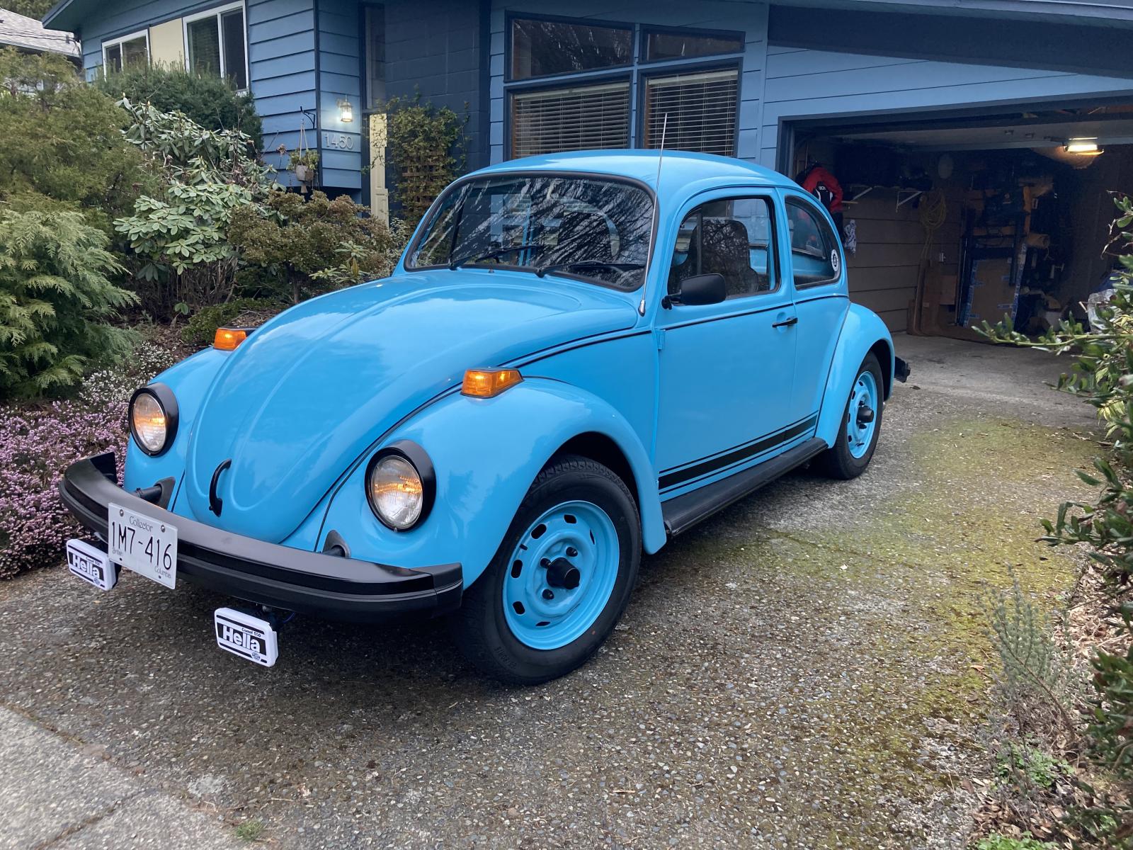 TheSamba.com :: Gallery - Basic Bug model 110