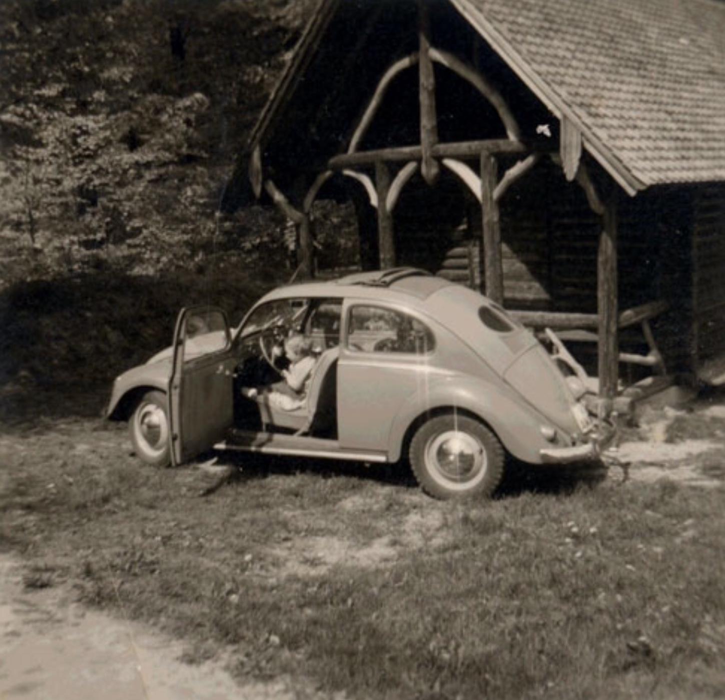 TheSamba.com :: Gallery - Split Window