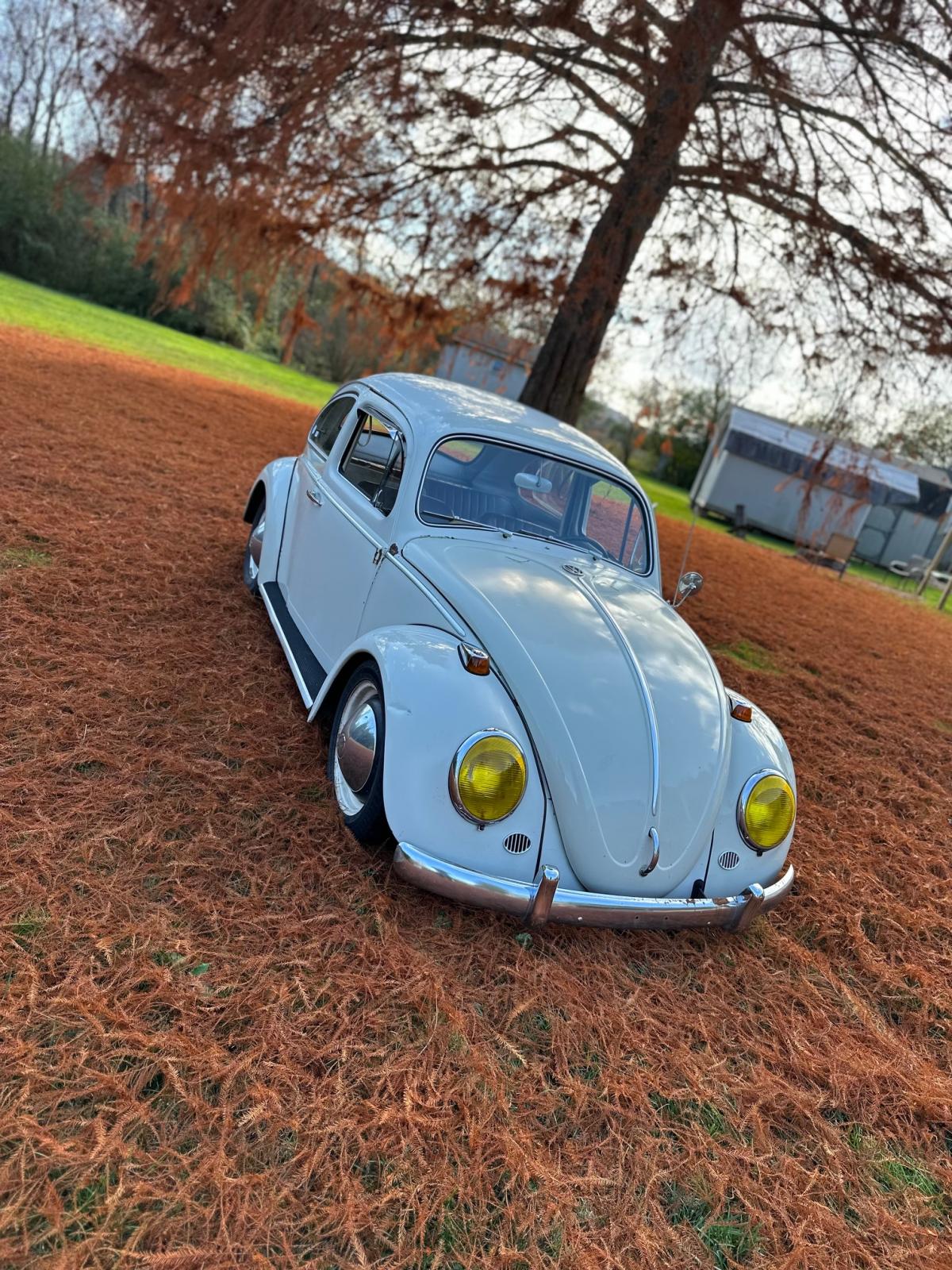 TheSamba.com :: Gallery - 64 beetle