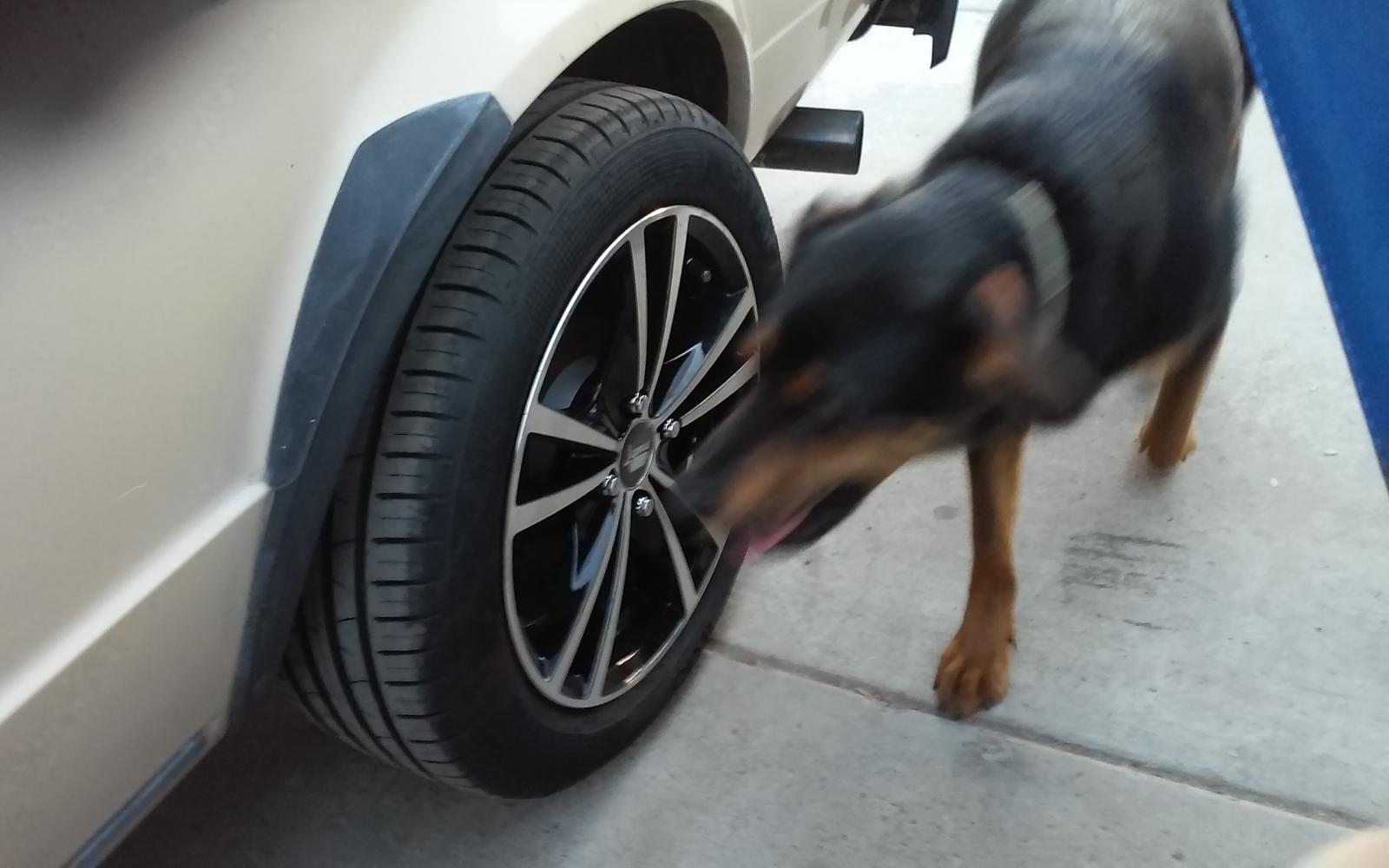 TheSamba.com :: Custom Wheel/Tire - View topic - Best looking 4 lug rims