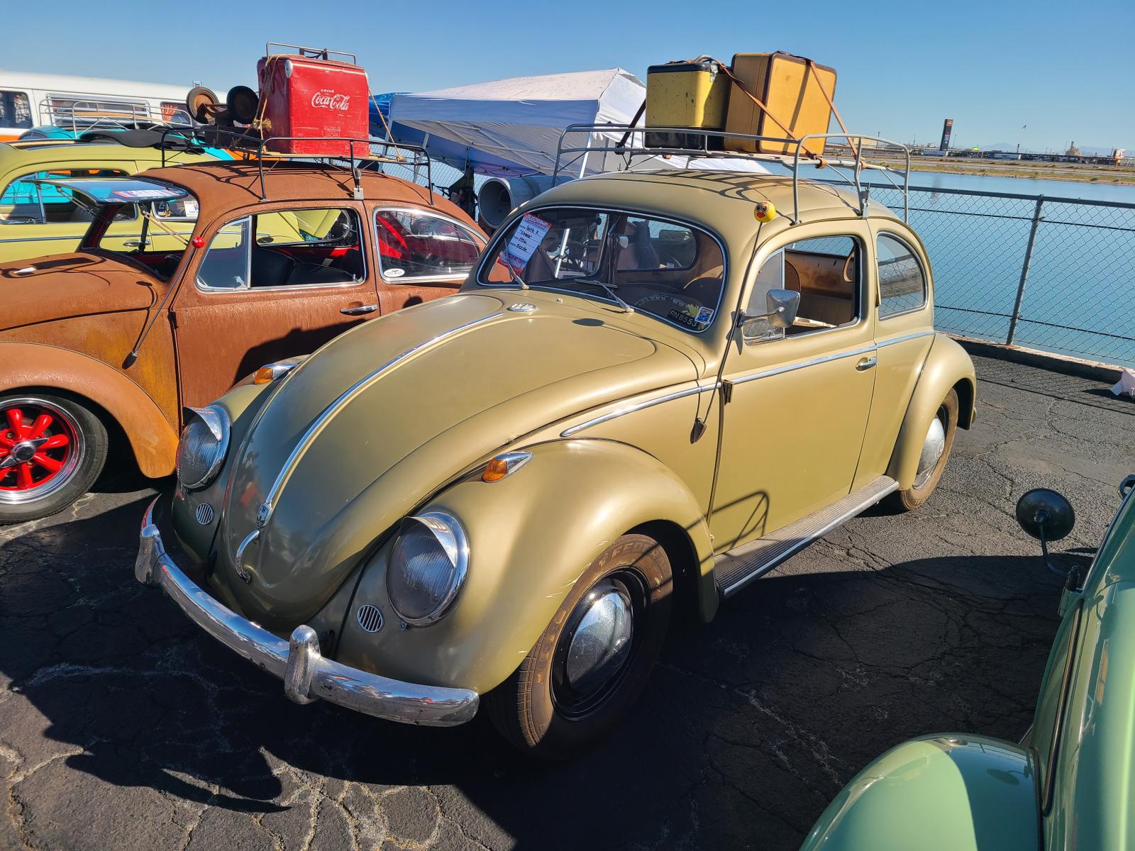 TheSamba.com :: Gallery - Bugs at the Phoenix Bugorama 2023. Sunday ...